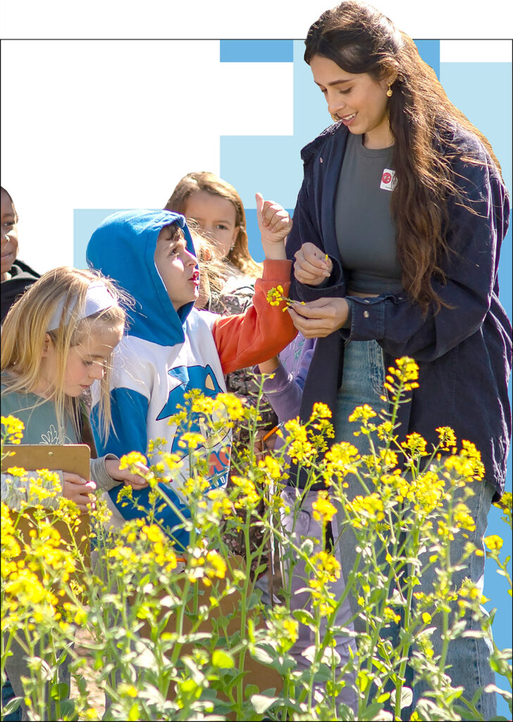 Get to Know the High Tech High Graduate School of Education | High Tech ...